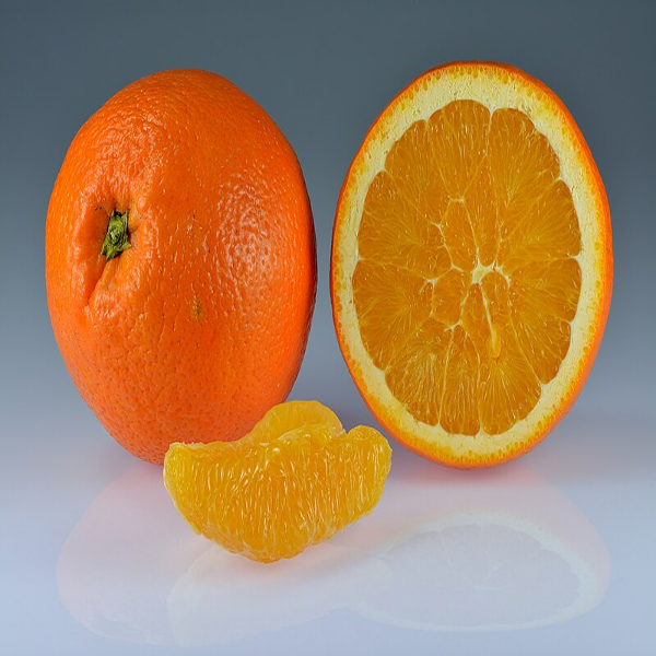Jaffa Orange Grafted & Hybrid Fruit Plant – Plants Villa