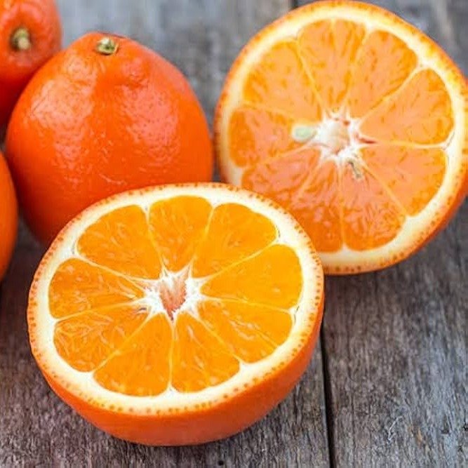 Seedless Orange Grafted & Hybrid Fruit Plant – Plants Villa